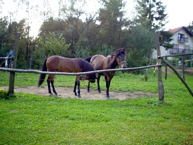 imenik.tportal.hr – Najtočniji telefonski imenik